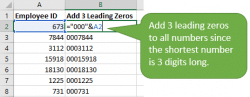 How to Add Leading Zeros to Numbers or Text with Uneven Lengths - Excel ...