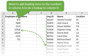 How to Add Leading Zeros to Numbers or Text with Uneven Lengths - Excel ...