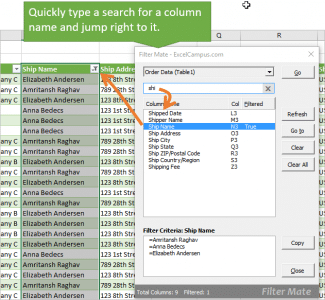 Keyboard Shortcuts for the Filter Menus - Free Video Training Series ...