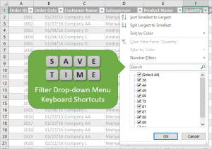 Keyboard Shortcuts for the Filter Menus - Free Video Training Series ...
