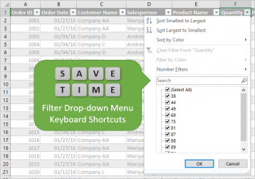 Keyboard Shortcuts for the Filter Menus - Free Video Training Series ...
