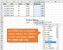The Excel SUBTOTAL Function - Calculations on Filtered & Visible Cells Only