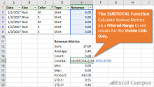 The Excel SUBTOTAL Function - Calculations on Filtered & Visible Cells Only