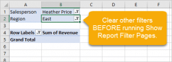 Create Multiple Pivot Table Reports with Show Report Filter Pages ...
