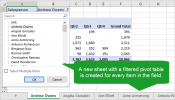 Create Multiple Pivot Table Reports with Show Report Filter Pages ...