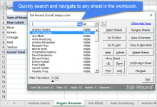 Create Multiple Pivot Table Reports with Show Report Filter Pages ...