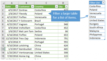 2 Ways to Filter for List of Items in Excel + Video Tutorial - Excel Campus