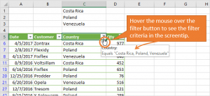 2 Ways to Filter for List of Items in Excel + Video Tutorial - Excel Campus