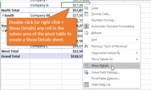 Only Display Used Fields on Pivot Table Show Details Sheet - Excel Campus