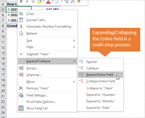 Expand and Collapse Entire Pivot Table Fields - VBA Macro - Excel Campus